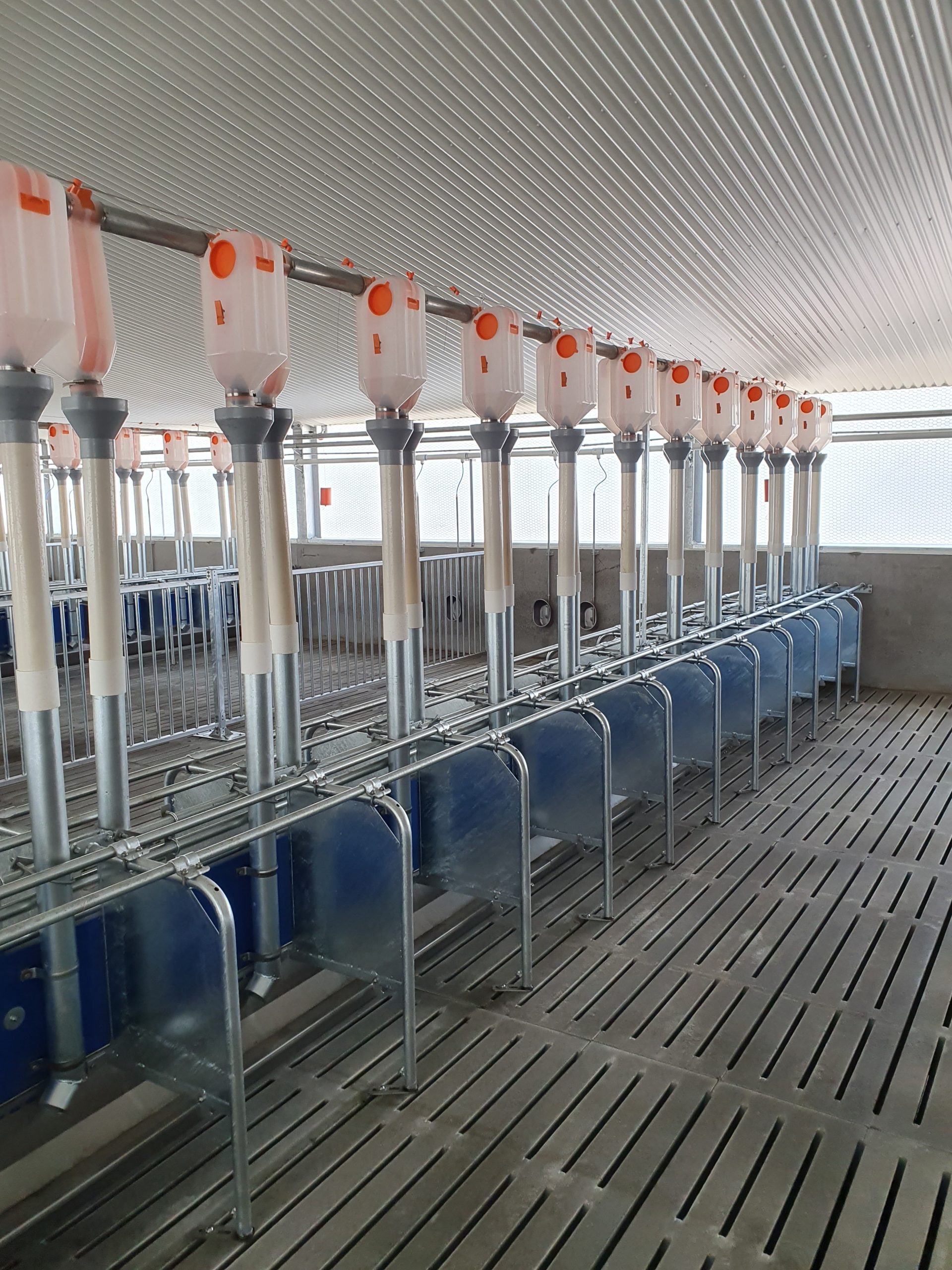 Stockyard Industries | Australia's Largest Supplier of Pig & Poultry ...