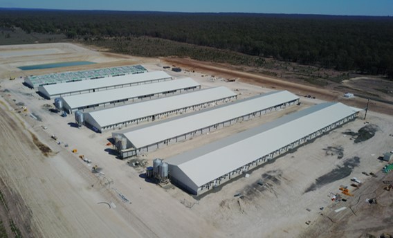Stockyard Industries | Australia's Largest Supplier of Pig & Poultry ...