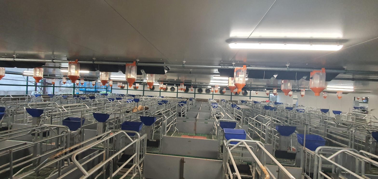 Stockyard Industries | Australia's Largest Supplier of Pig & Poultry ...